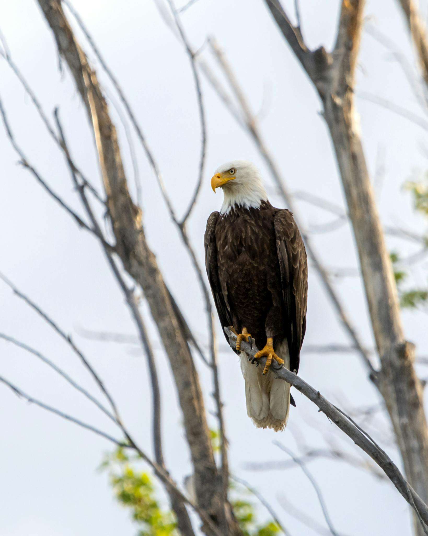 7 Amazing Things To Do on Lake Champlain - Adirondack Premier Properties
