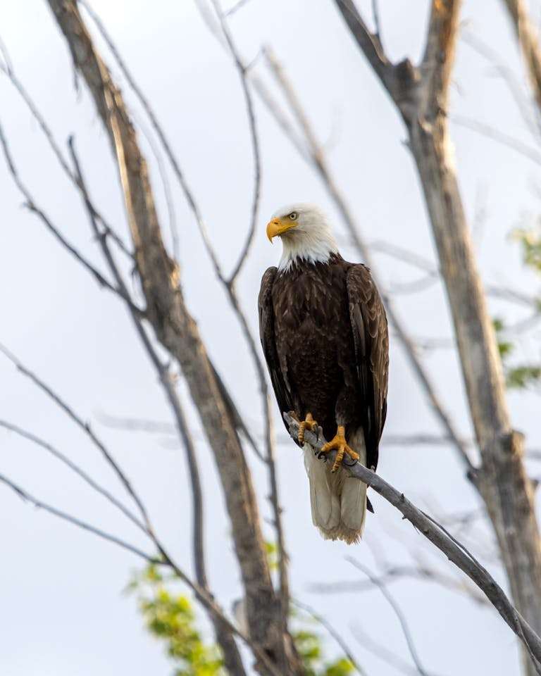 7 Amazing Things To Do on Lake Champlain - Adirondack Premier Properties